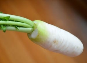 Easy Young Radish Kimchi (총각김치 Chonggak Kimchi) - Kimchimari