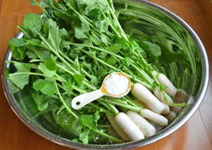 Easy Young Radish Kimchi (총각김치 Chonggak Kimchi) - Kimchimari