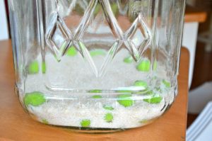 Korean Green Plum Extract or Syrup (매실청 Maesil Cheong) - Kimchimari