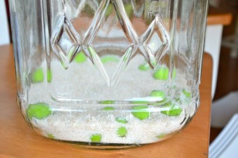 Korean Green Plum Extract or Syrup (매실청 Maesil Cheong) - Kimchimari