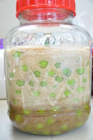 Korean Green Plum Extract or Syrup (매실청 Maesil Cheong) - Kimchimari