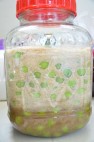 Korean Green Plum Extract or Syrup (매실청 Maesil Cheong) - Kimchimari