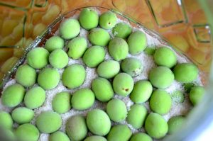 Korean Green Plum Extract or Syrup (매실청 Maesil Cheong) - Kimchimari