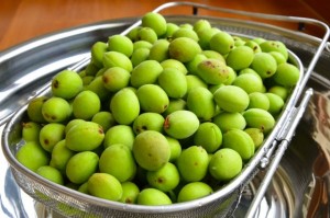 Korean Green Plum Extract or Syrup (매실청 Maesil Cheong) - Kimchimari