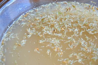 Korean Sweet Rice Punch (Sikhye 식혜) - Kimchimari