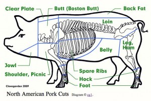 Know your Pork Cut!! - Kimchimari