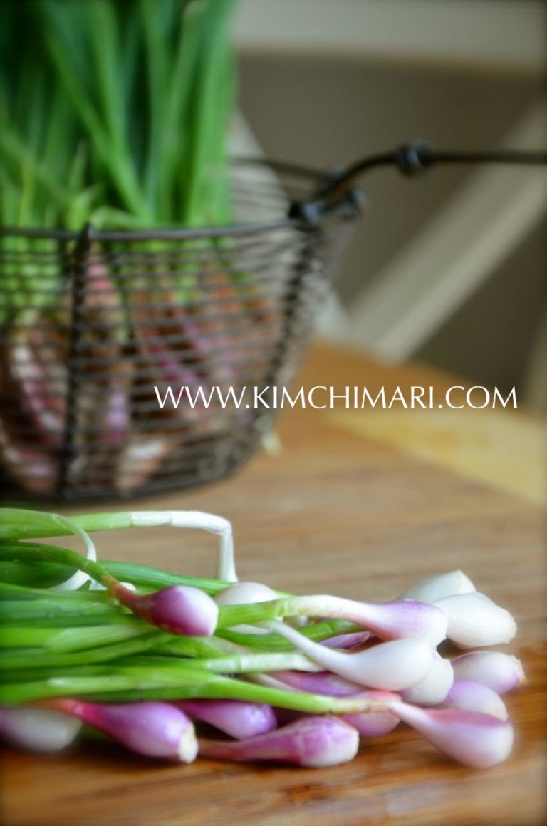 9 Korean Vegetables to Grow in Your Garden This Spring - Kimchimari