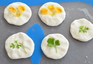Fresh Flower Rice Pancake (화전 Hwajeon) | Kimchimari