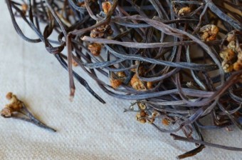 Brown Gosari - Korean Samsaek Namul - Kimchimari