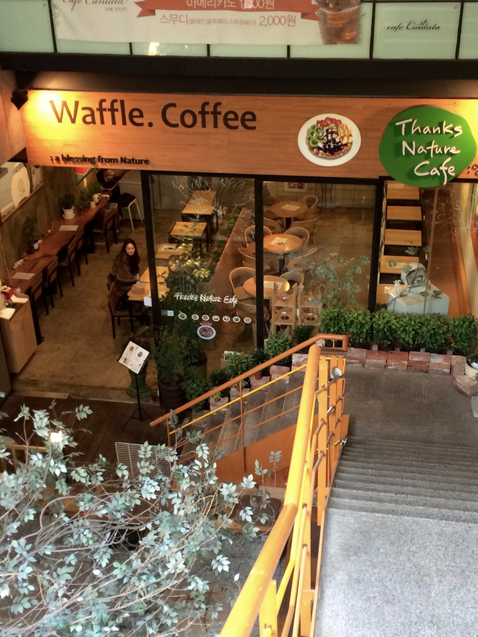 Fun Theme Cafes in Seoul - Kimchimari