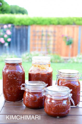 My home made Gochujang fully fermented at 2 months! - Kimchimari