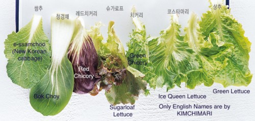 How to Enjoy Ssam (Korean Lettuce Wraps) with Different Greens - Kimchimari