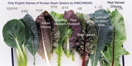 How to Enjoy Ssam (Korean Lettuce Wraps) with Different Greens - Kimchimari