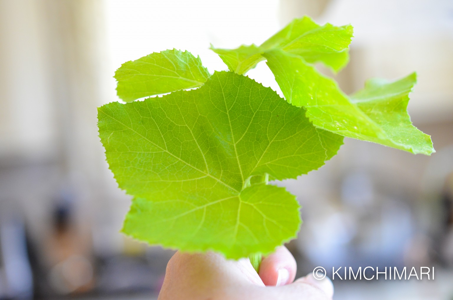 3 Easy Ssam and Ssambap recipes - Kimchimari