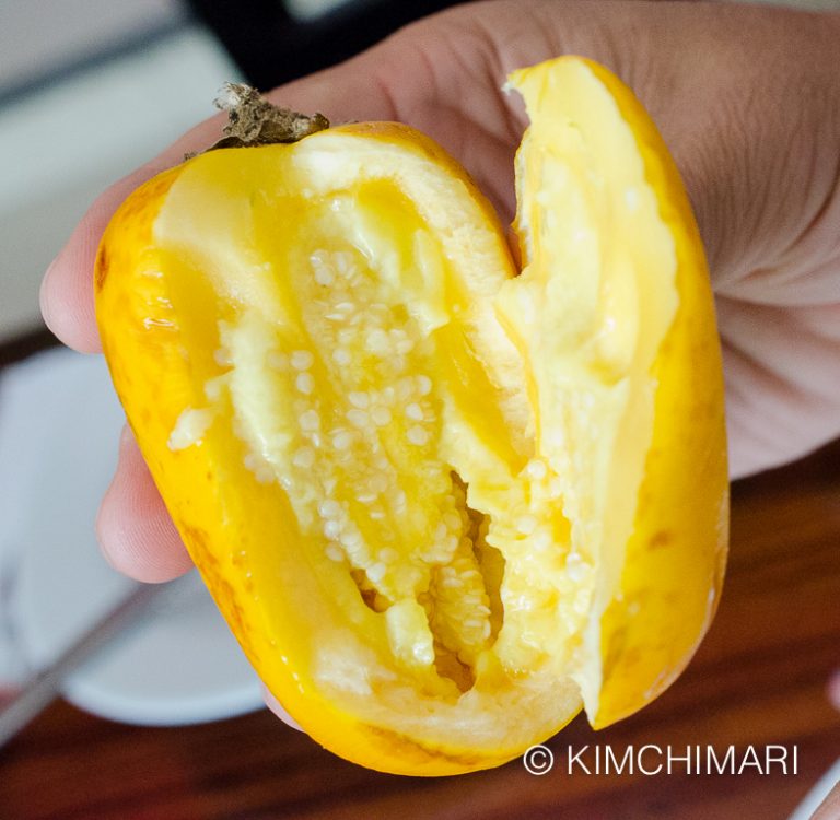 Best Peruvian Food in Lima, Peru! - Kimchimari