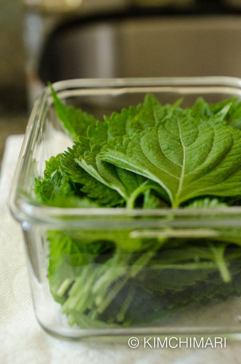 Perilla Leaves Pickled in Tangy Soy Sauce (Kkaetnip Jangajji) - Kimchimari