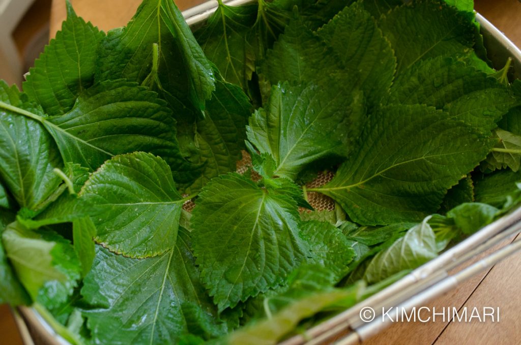 Perilla Leaves Pickled in Tangy Soy Sauce (Kkaetnip Jangajji) - Kimchimari