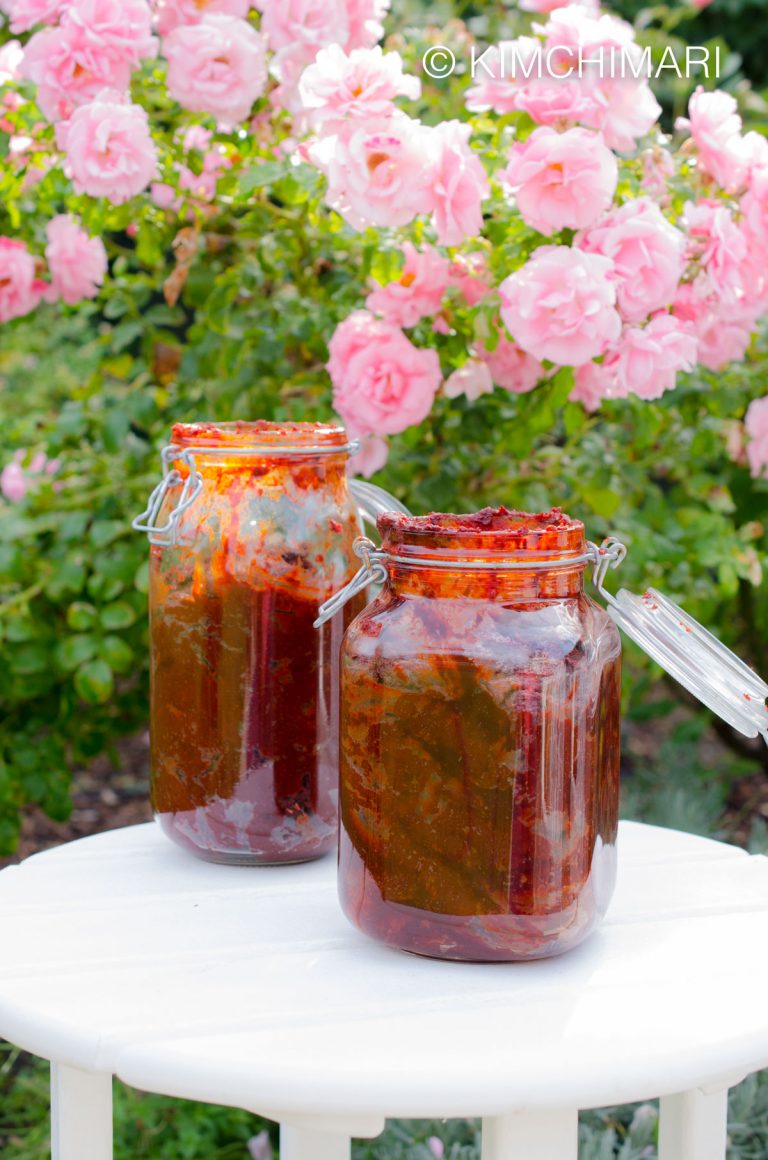 Is My Homemade Gochujang fully Fermented? - Kimchimari