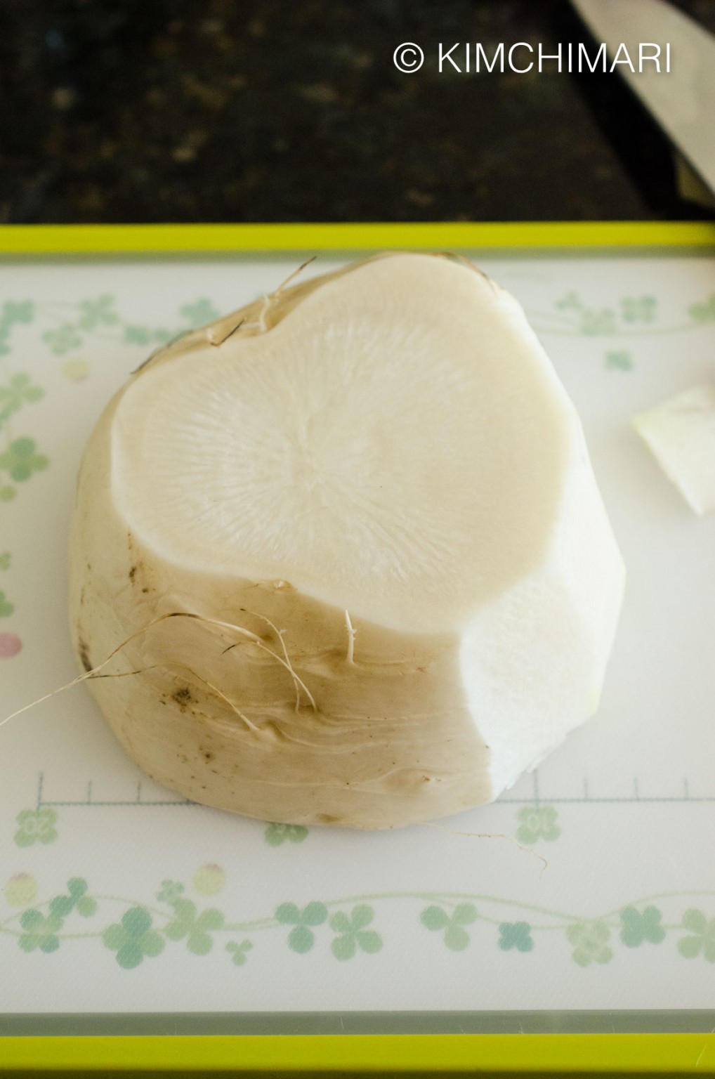 Beef and Radish Soup (Korean Seogogi Mu Guk) - Kimchimari