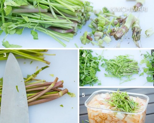 Nabak Kimchi (Simple Water Kimchi with 6 Ingredients) - VG, GF - Kimchimari