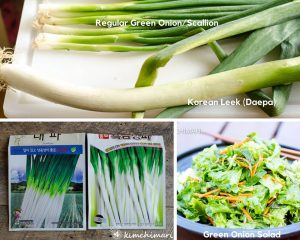 9 Korean Vegetables to Grow in Your Garden This Spring - Kimchimari