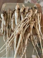 Doraji Namul (Sauteed Bellflower Roots) - Kimchimari